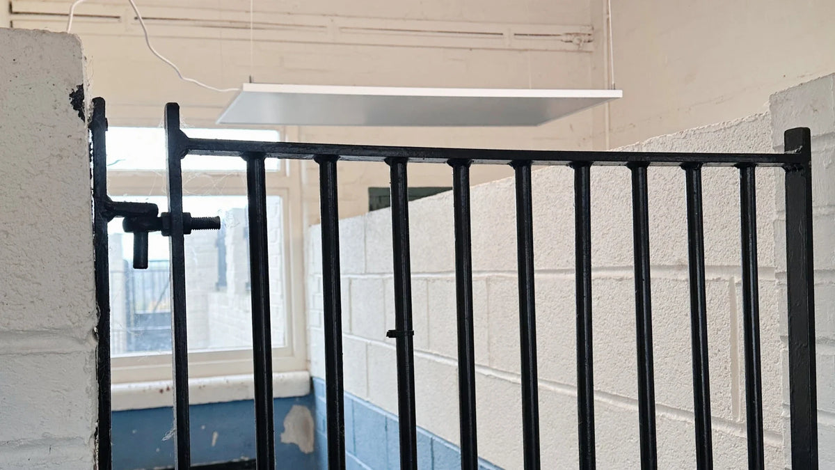 Infrared Heating Panels for Dog Kennels & Dog Houses in the UK: A Safe